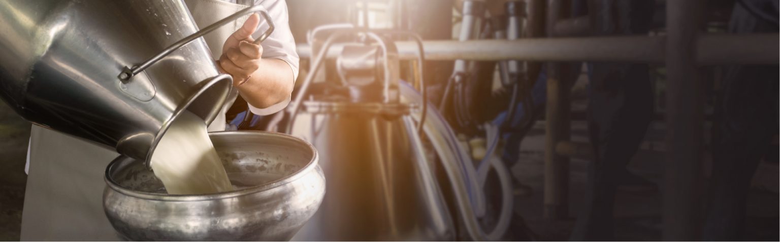 Company - Delta International